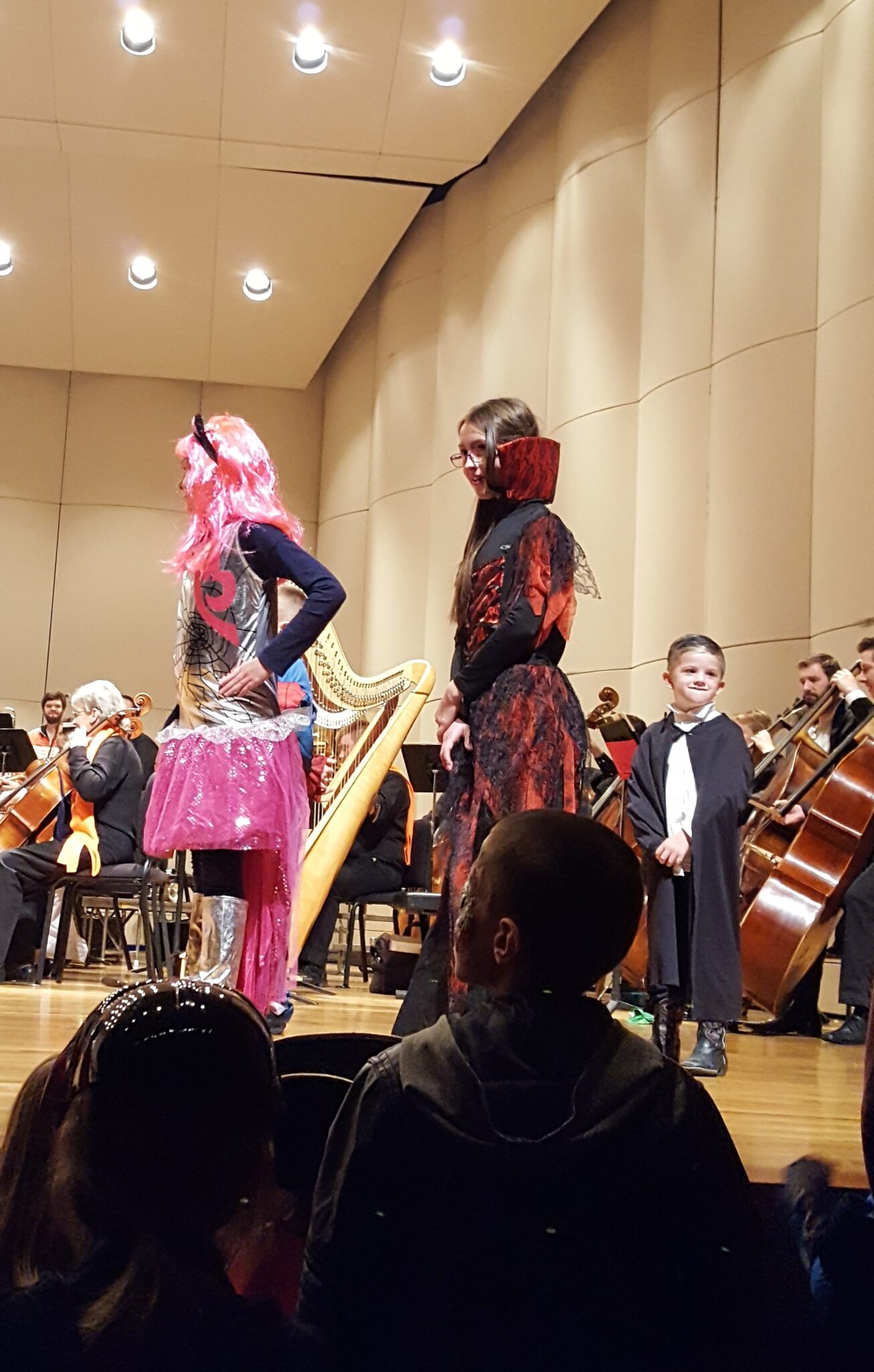 Catty Noir and Vampire Queen – Siobhan Muir